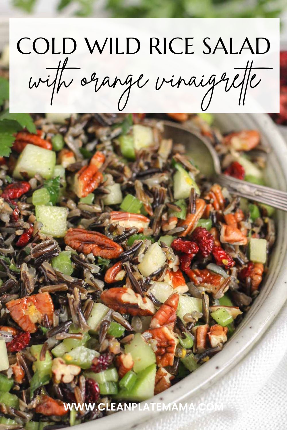 Cold Wild Rice Salad with Dried Cranberries and Pecans